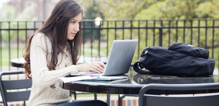 How to Write an Appendix in APA, MLA and Chicago Style